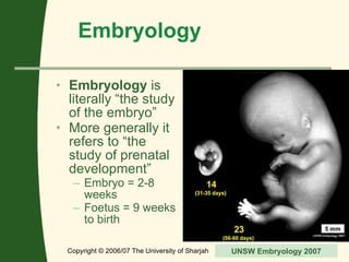 1 embryology | PPT