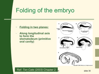 1 embryology | PPT