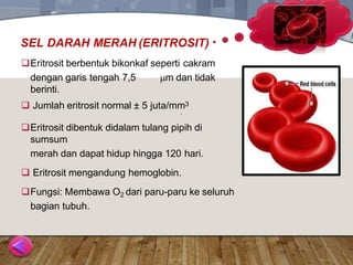 1E_MEDIA PEMBELAJARAN 1_SISTEM PEREDARAN DARAH_CITRA LEONIE, S.Pd.pptx