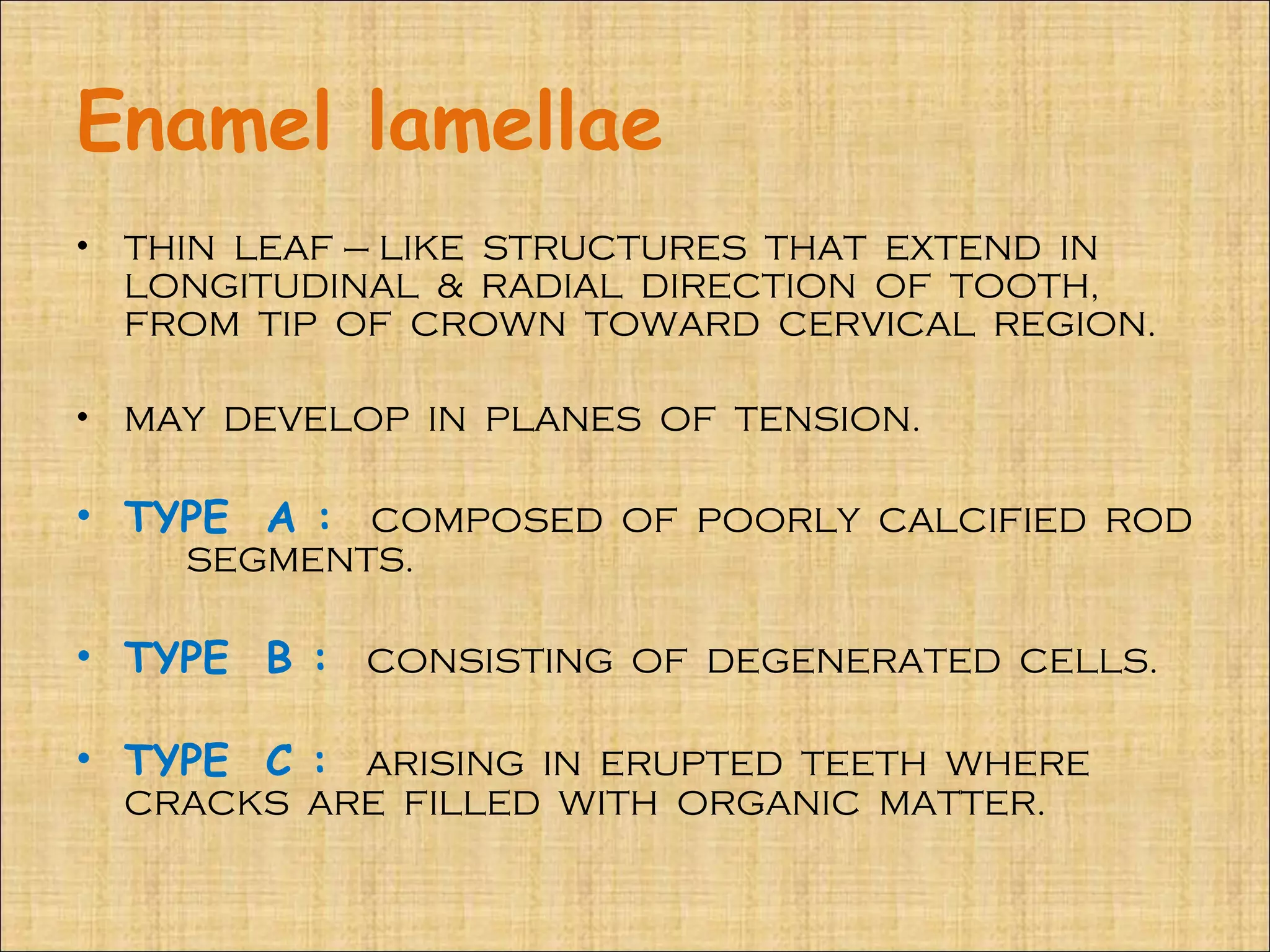 1 enamel dentin pulp | PPT