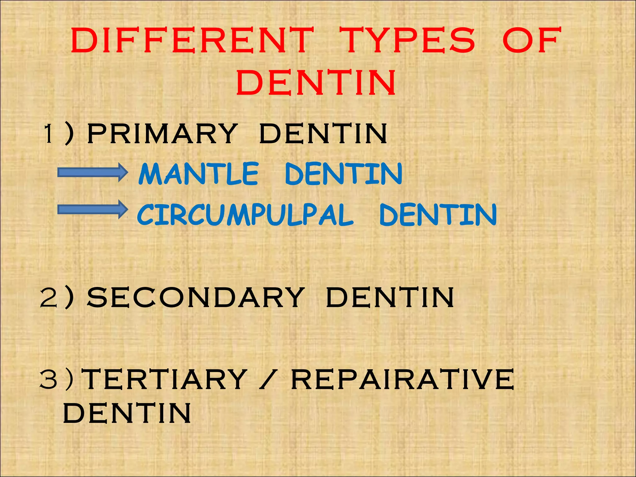 1 enamel dentin pulp | PPT