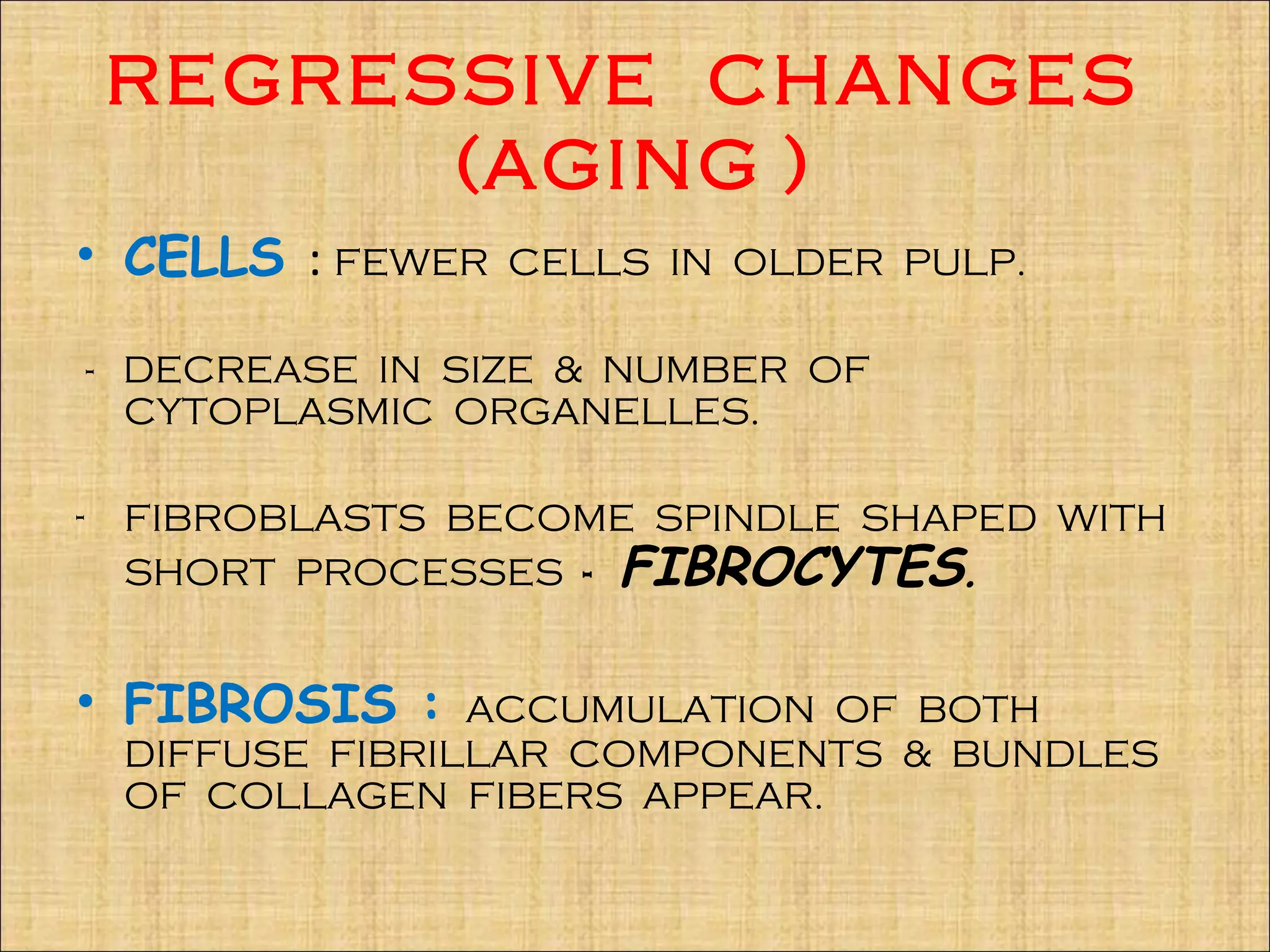 1 enamel dentin pulp | PPT