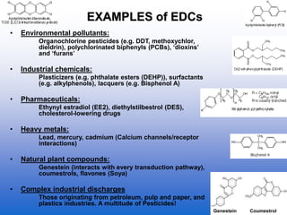 1Endocrine_Disruption.ppt