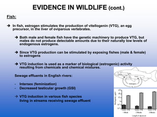 1Endocrine_Disruption.ppt