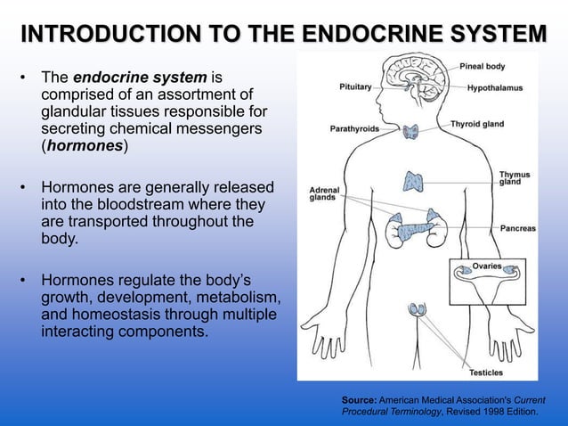 1Endocrine_Disruption.ppt