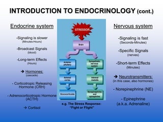 1Endocrine_Disruption.ppt