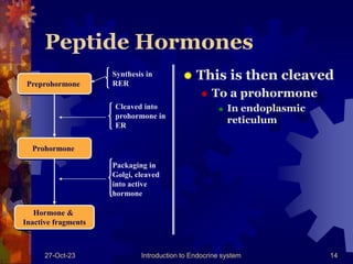 1Endocrine System.ppt