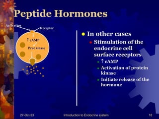 1Endocrine System.ppt