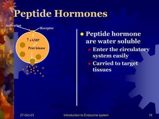 1Endocrine System.ppt