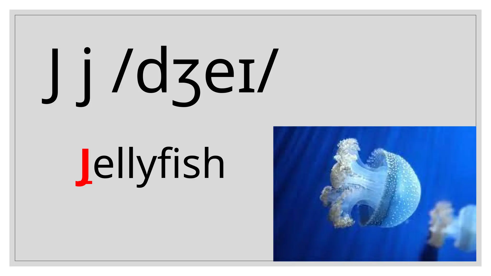 1 English Alphabet abcdefghijklmnop.pptx