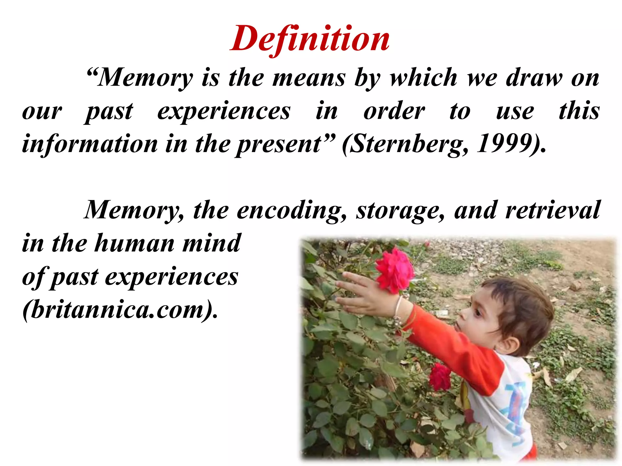 memory definition and meaning | PPT