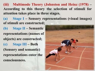 Nature of attention (Meaning, Definition and Theories in brief) | PPSX