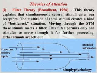 Nature of attention (Meaning, Definition and Theories in brief) | PPSX