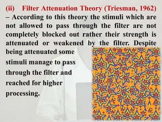 Nature of attention (Meaning, Definition and Theories in brief) | PPSX