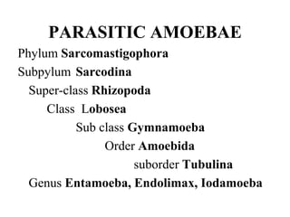 1_Entamoeba histolytica - 1 - Pharmacy Regular.pdf