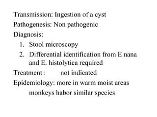 1_Entamoeba histolytica - 1 - Pharmacy Regular.pdf