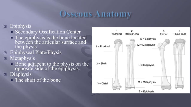 1EPIPHYSEAL INJURIES .pptx