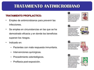 1era clase generalidades de la terapia antibacteriana | PPT