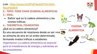 1ER AÑO - BIOLOGÍA.pdf Cadena alimenticia / food chain | PDF