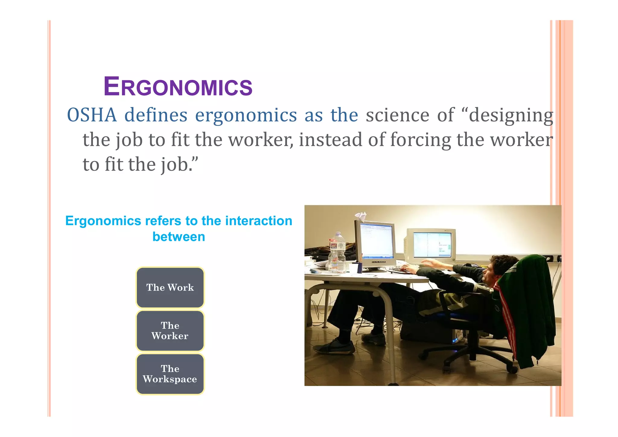 1 ergo n anatomy | PDF