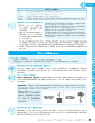 1er grado básico (Aprendo en casa) | PDF
