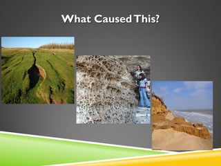 Forces that shape the Earth: Erosion and deposition notes.pdf
