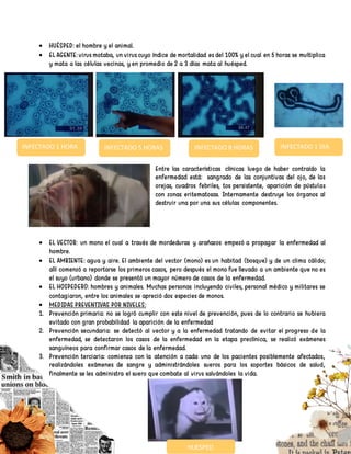 ANALISIS Pelicula epidemia | PDF