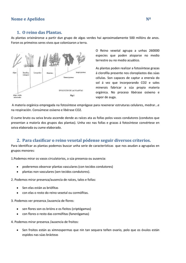 1º eso. tema 11. O reino plantas | DOCX