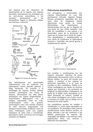 Morfología y clasificación de los hongos | PDF