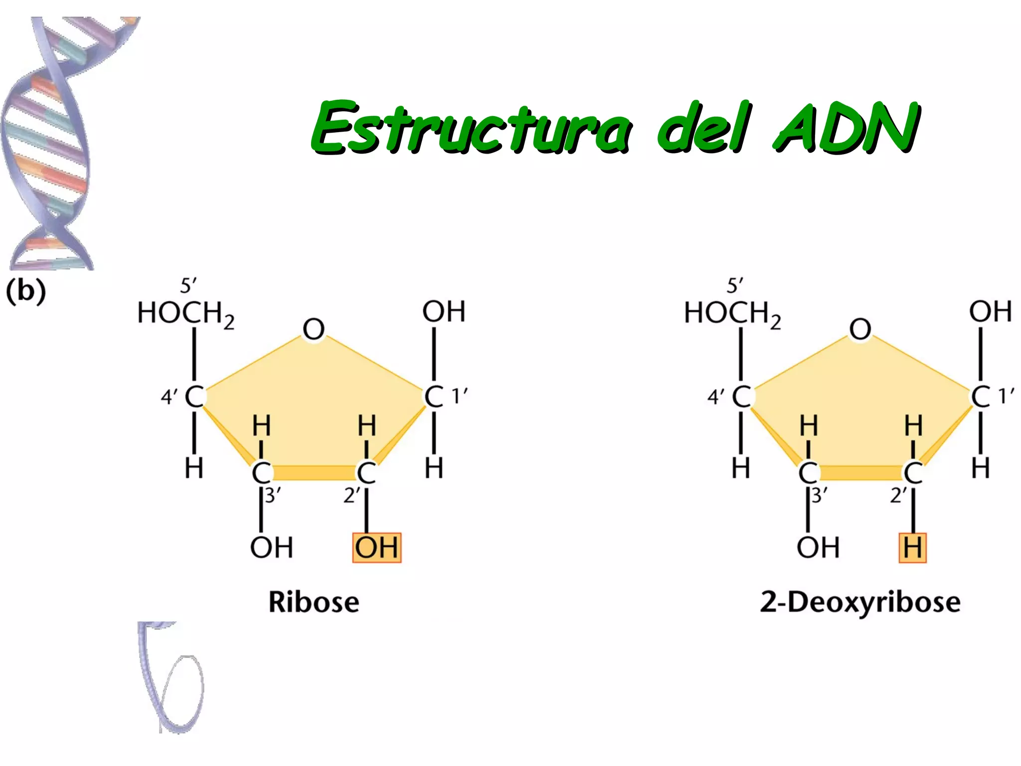 1 evidencias y estructura-presentación tomada del profesor Manuel ...