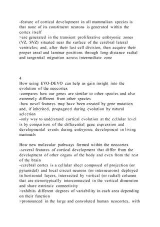 1Evolution of the NeocortexSourceshttpswww.ncbi.nlm