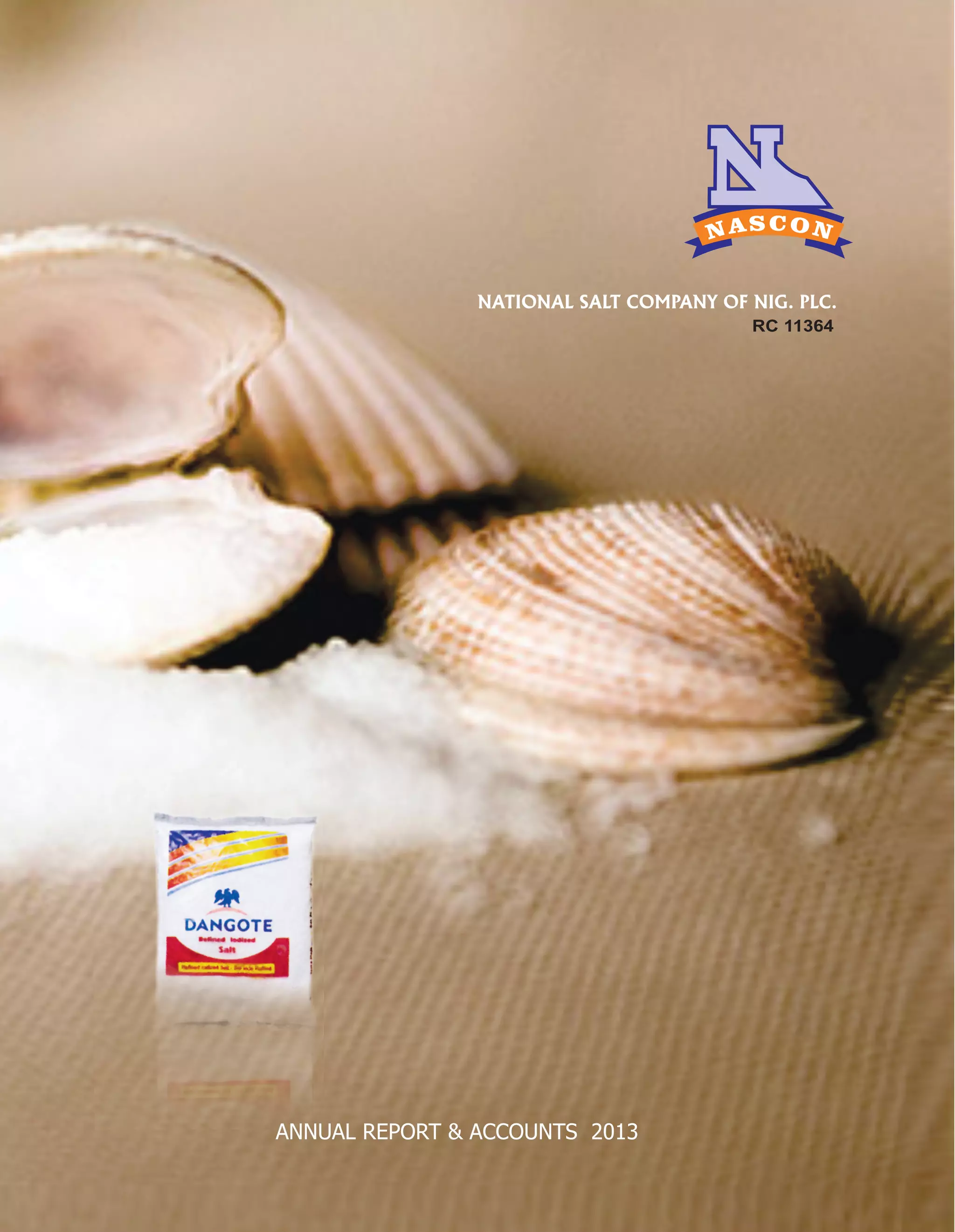 Nascon annual report 2013 | PDF