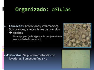 1 EXAMEN COMPLETO DE ORINA 2021.ppt
