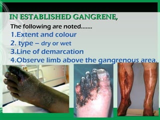 perpheral vascular disease & gangrene examination | PPT