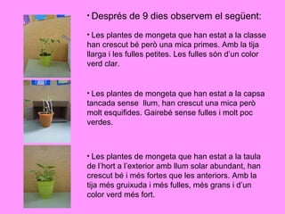 Com afecta la llum al creixement de les plantes? | PPT