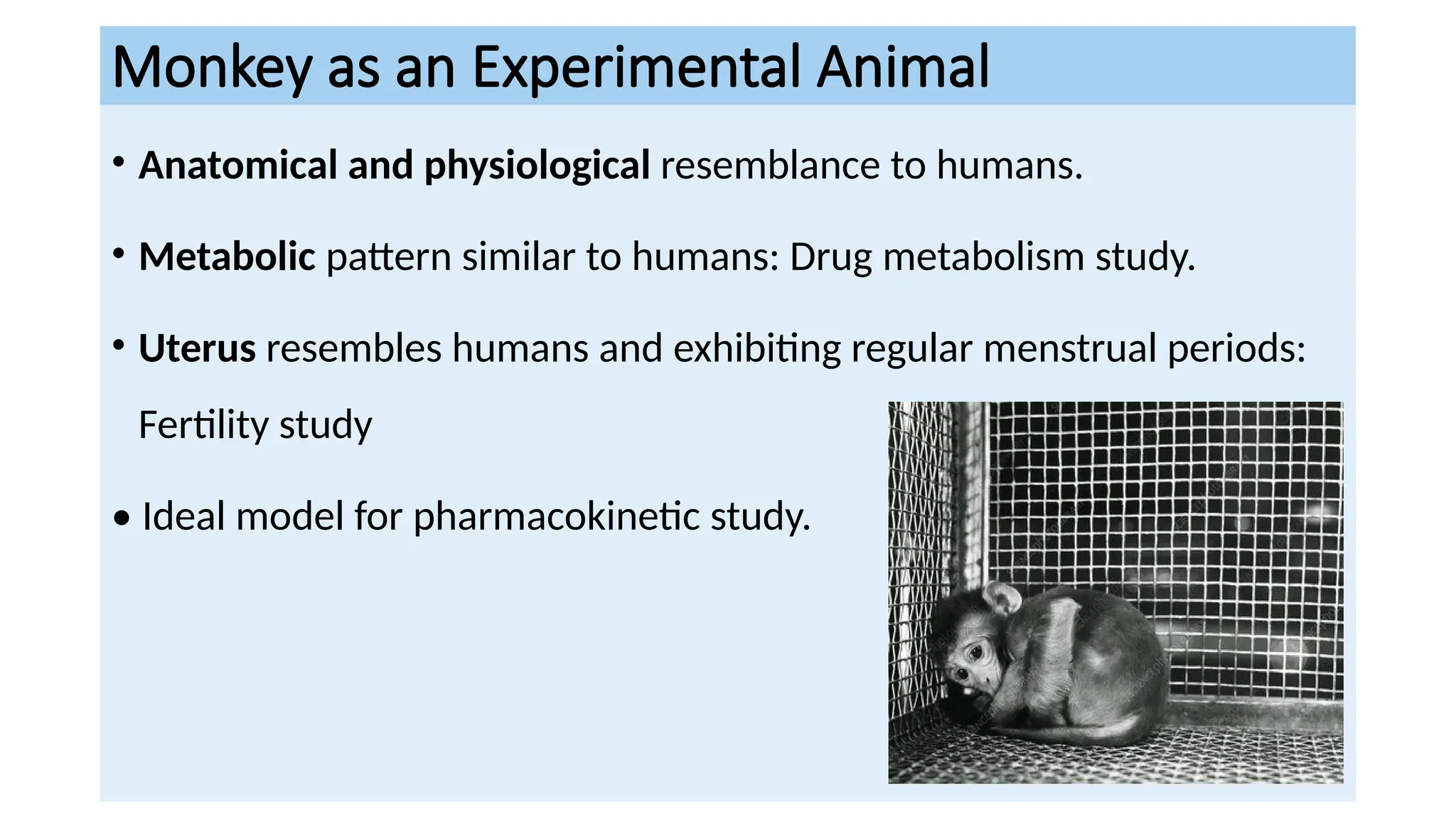 INTRODUCTION TO EXPERIMENTAL PHARMACOLOGY (Dr Shreedhar Angadi).pptx