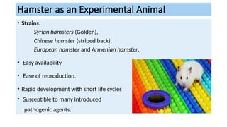 INTRODUCTION TO EXPERIMENTAL PHARMACOLOGY (Dr Shreedhar Angadi).pptx