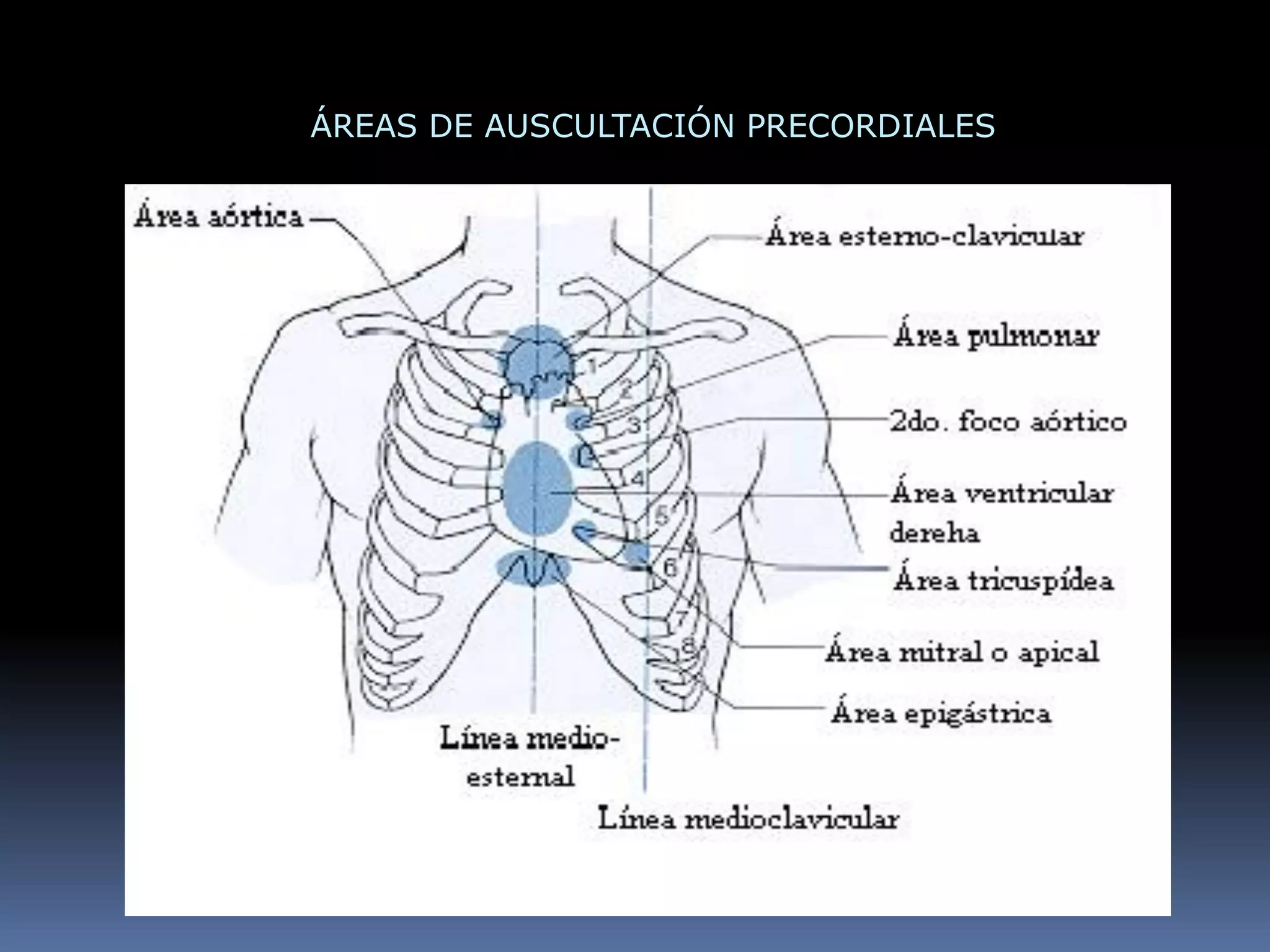 1 exploracion del aparato cardiovascular | PDF