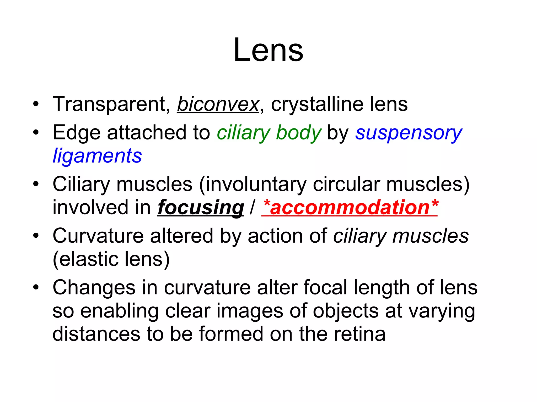 Chapter 14 The Human Eye Lesson 1 - Anatomy of the Human Eye | PPT