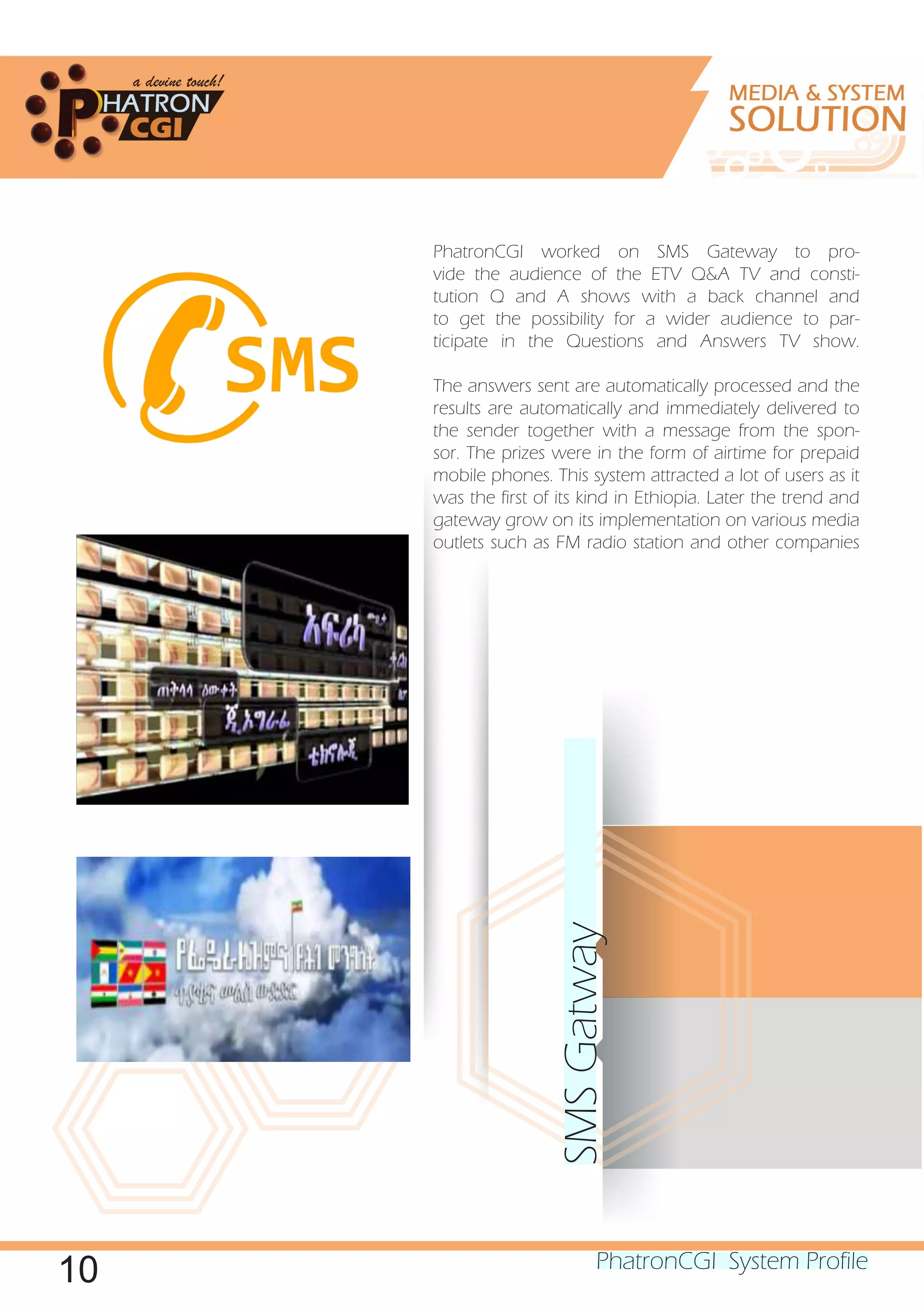 PCGI System Development Profile LQ | PDF