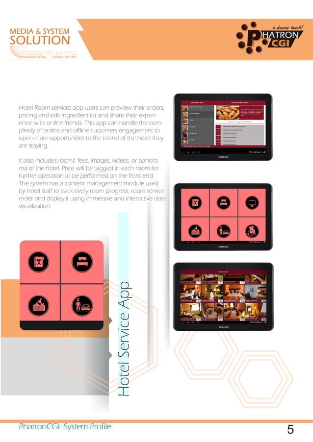 PCGI System Development Profile LQ | PDF