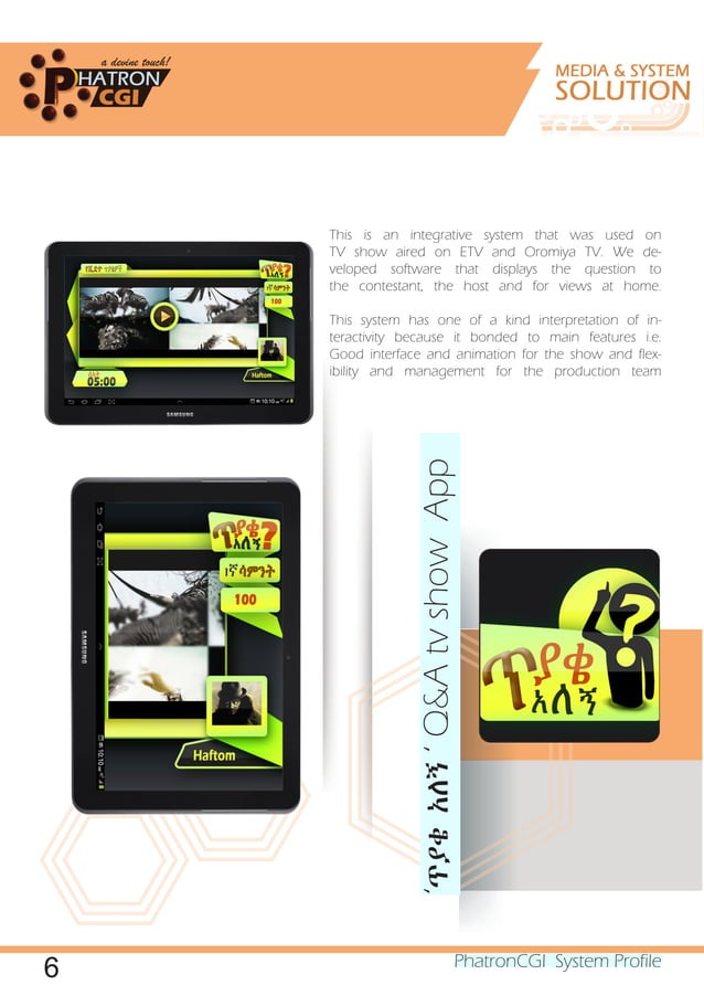 PCGI System Development Profile LQ | PDF