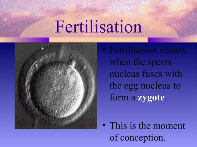 BIOLOGY FORM 5 CHAPTER 4 - 4.1E FERTILISATION & DEVELOPMENT | PPT ...
