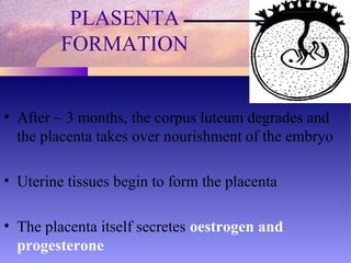 BIOLOGY FORM 5 CHAPTER 4 - 4.1E FERTILISATION & DEVELOPMENT | PPT