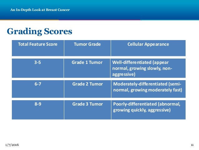 Tara PowerPoint An In Depth Look At Breast Cancers