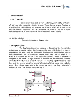FINAL REPORT | PDF