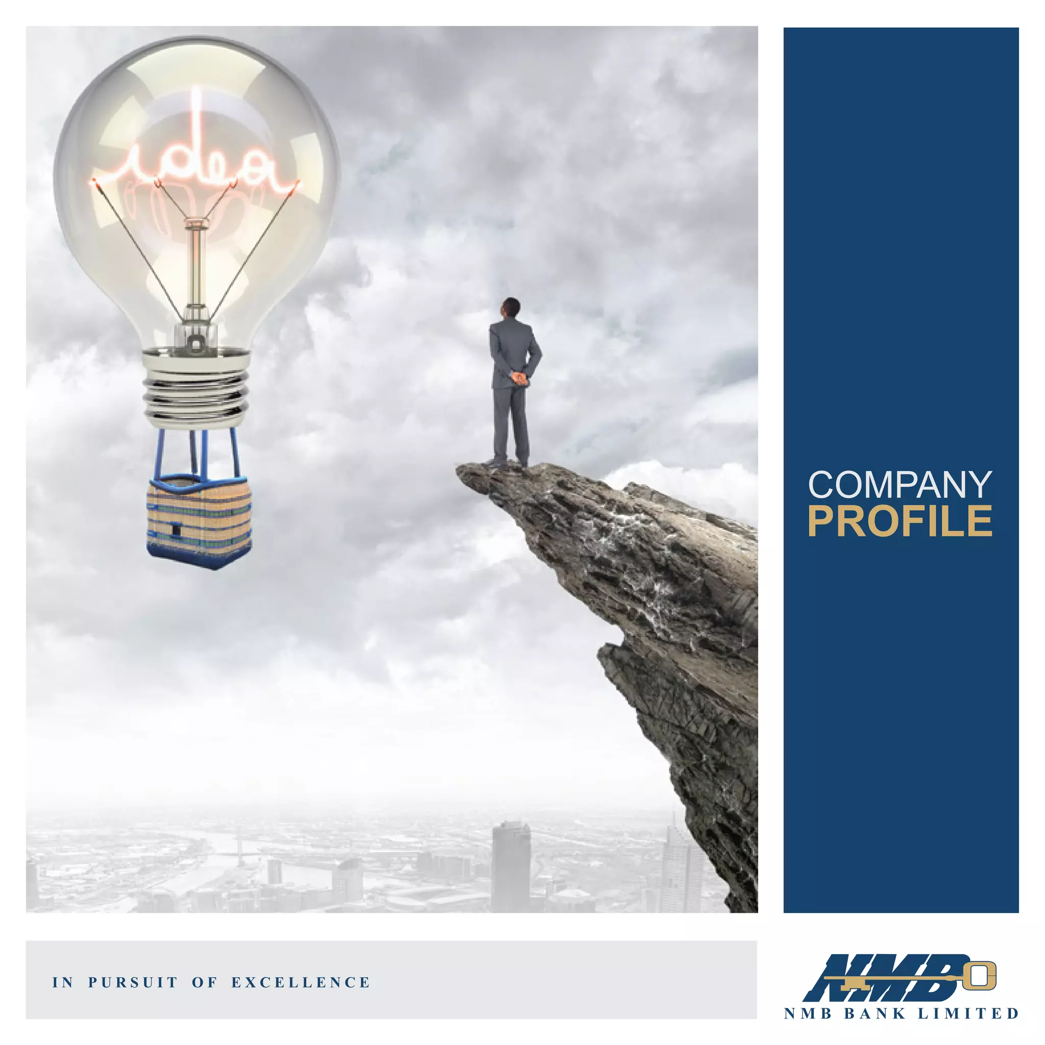 NMB BANK PROFILE 2016 | PDF