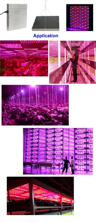 Brochure-LED Grow Panel Light | PDF