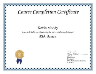 BSA Basics Certificate | PDF
