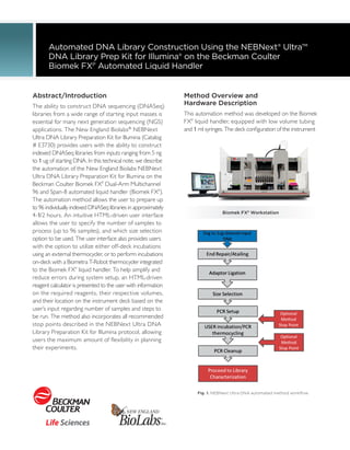 NEBNext Ultra DNA for Illumina NGS (ChIP-seq and HLA)_Biomek FXP Automated Workstation | PDF ...